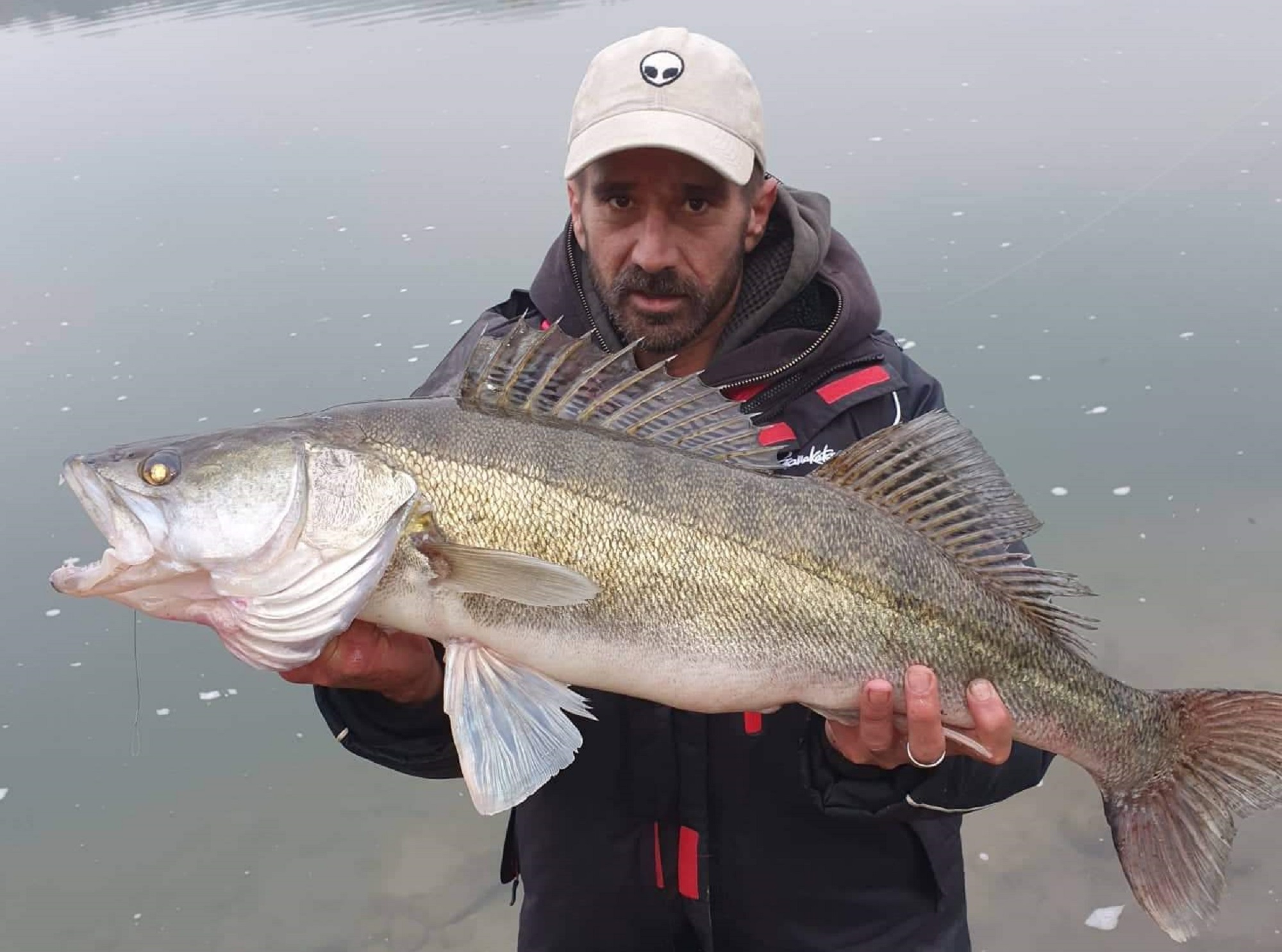 Photo d’un sandre de 80cm – APPVALENCE.FR